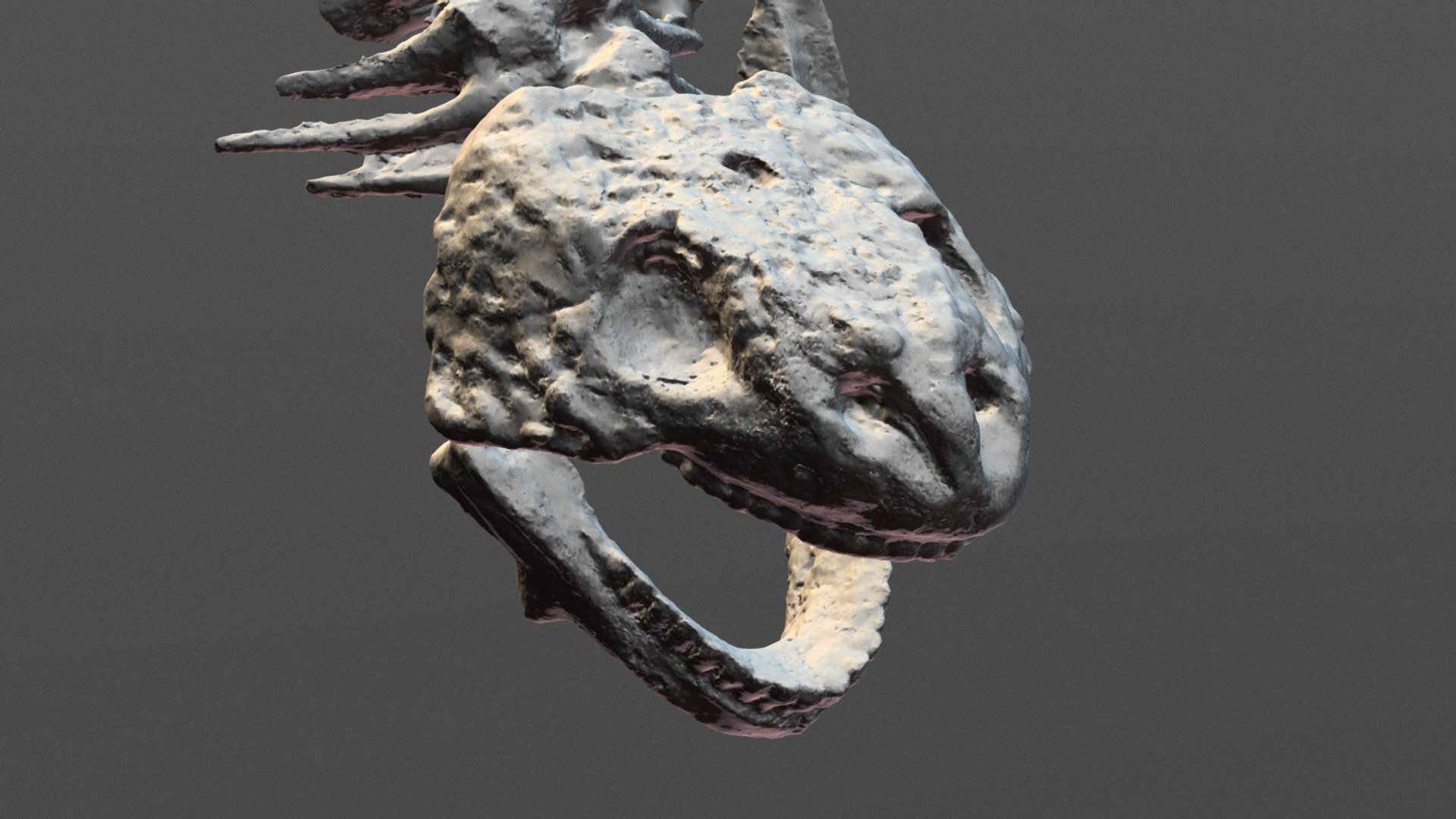 Pareiasaurus