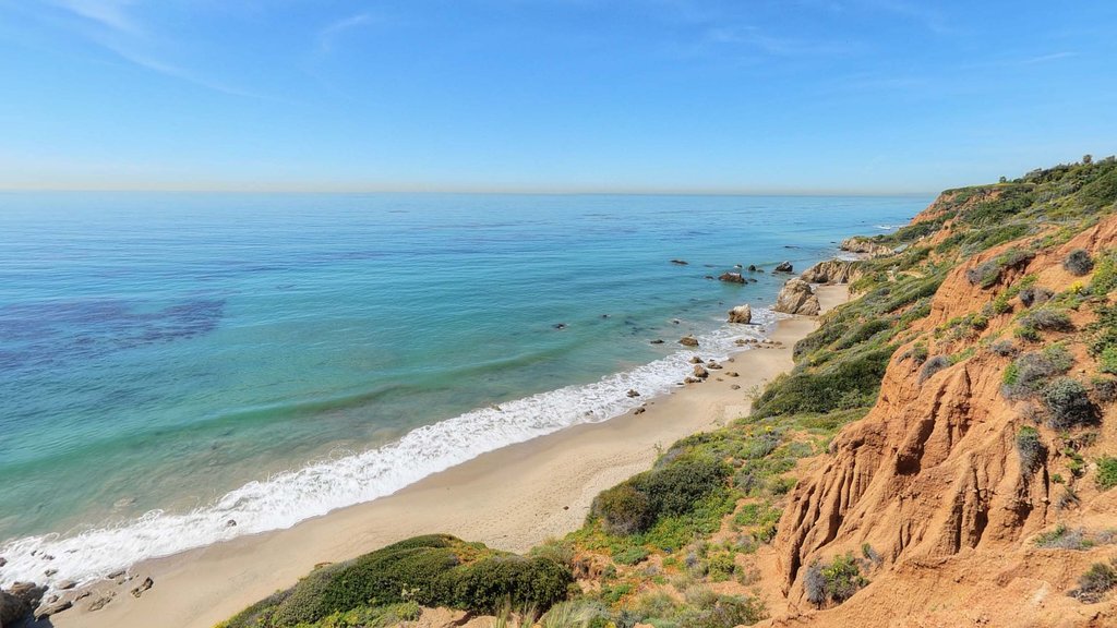 Beach - A 3D model collection by whatisthursday - Sketchfab
