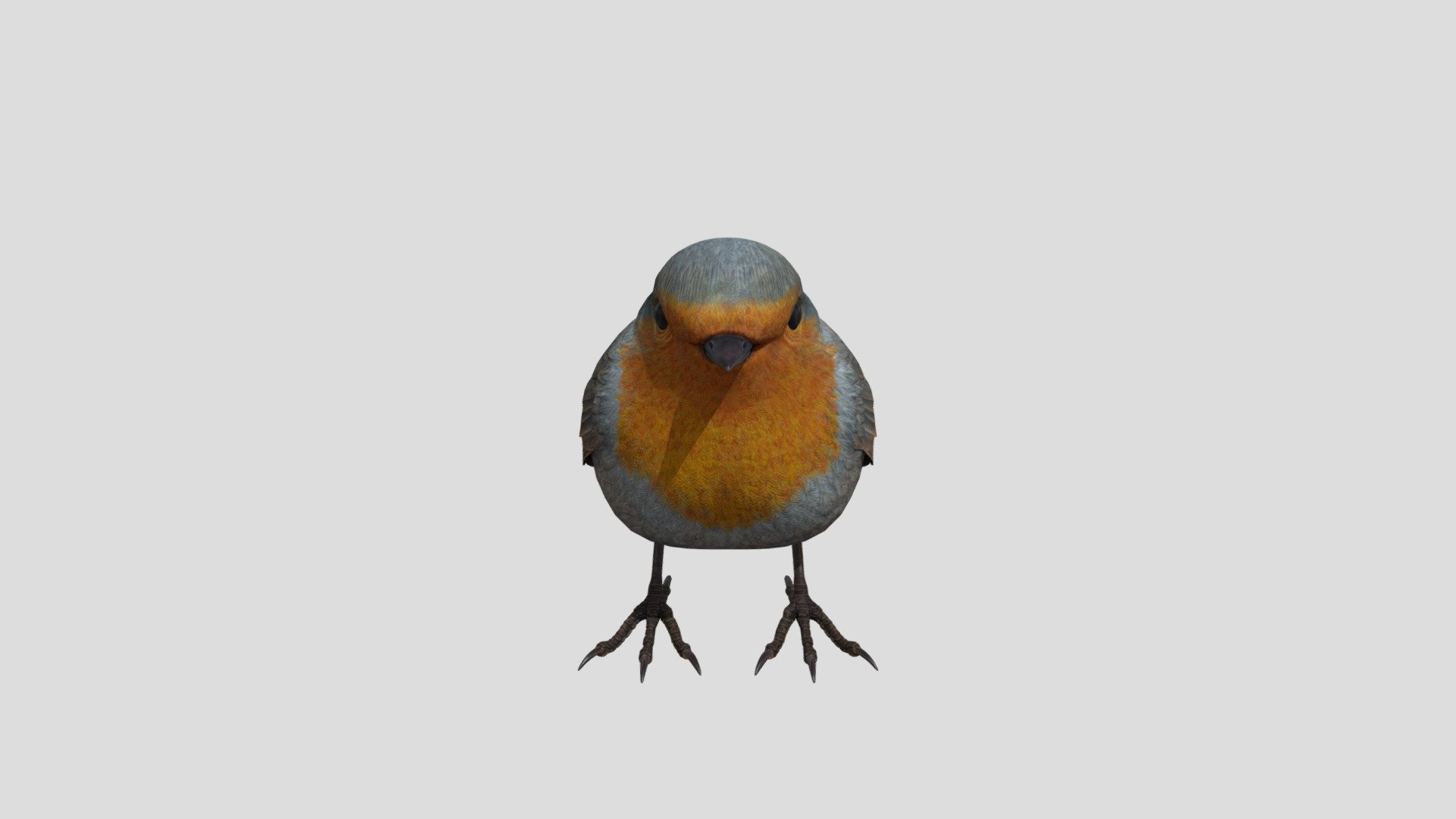 Vogel - 3D model by eveline.maes [8ef40ac] - Sketchfab