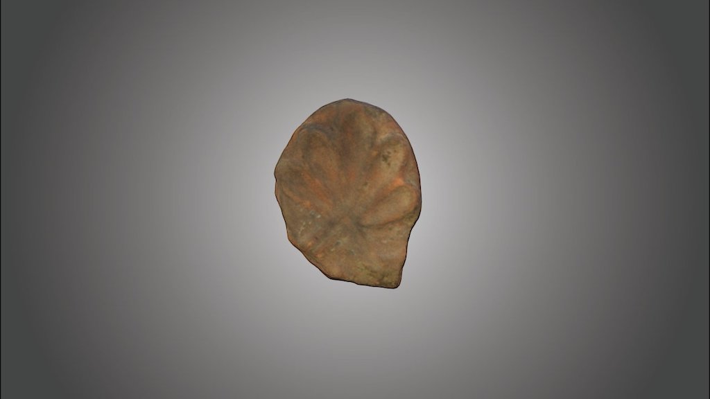 Deel van een antefix uit Tongeren - 3D model by Erfgo3D [8efb342 ...