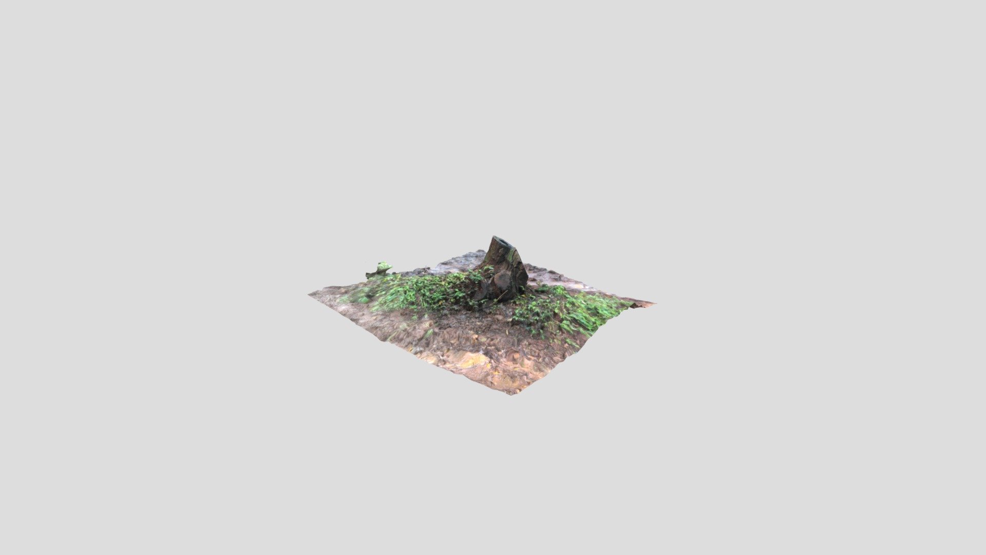 Wet Old Tree Stamp - Download Free 3D model by glennnjoroge [8efe9ce ...