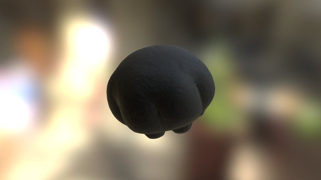 Catscannedhand Stl - 3D model by 3dwave [8f11cf3] - Sketchfab