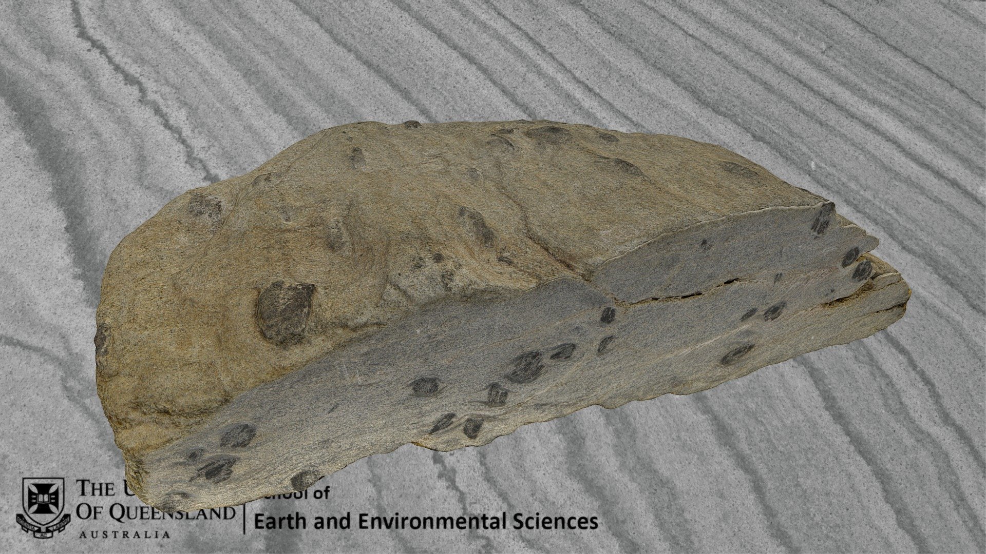 Cordierite Schist - 3D model by nate_siddle (@nate_sid) [8f16e8d ...