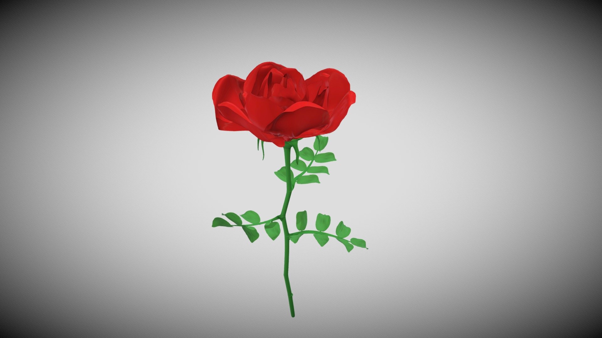 3D Rose - 3D model by kaleankalin [8f1b891] - Sketchfab