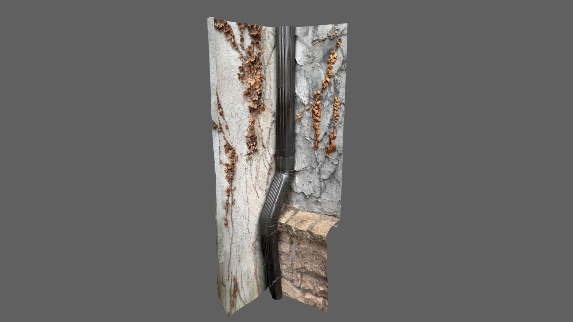 Dead Vines on Rough Gray Wall - Download Free 3D model by HDR_Man ...