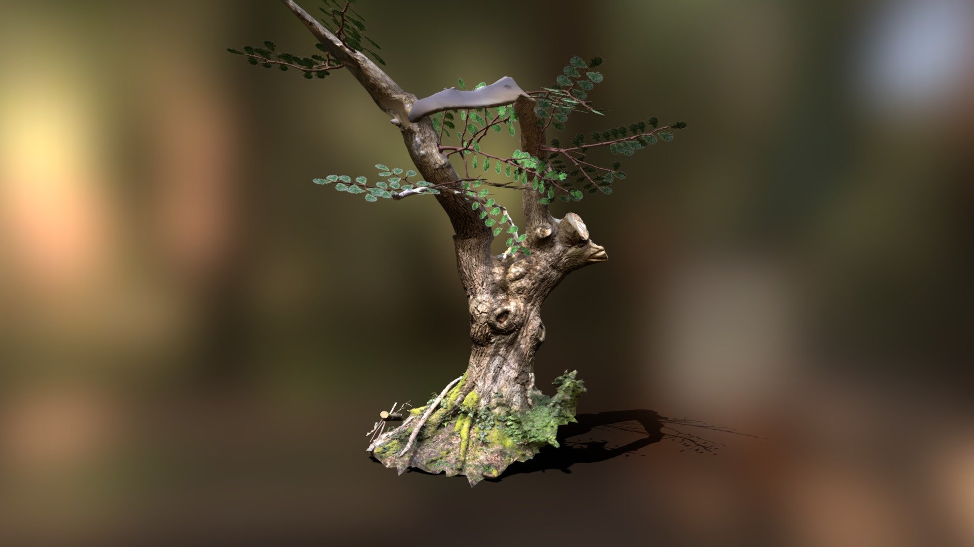 Bad-tempered Oak Tree - 3D model by Hyperdust [8f1e27f] - Sketchfab