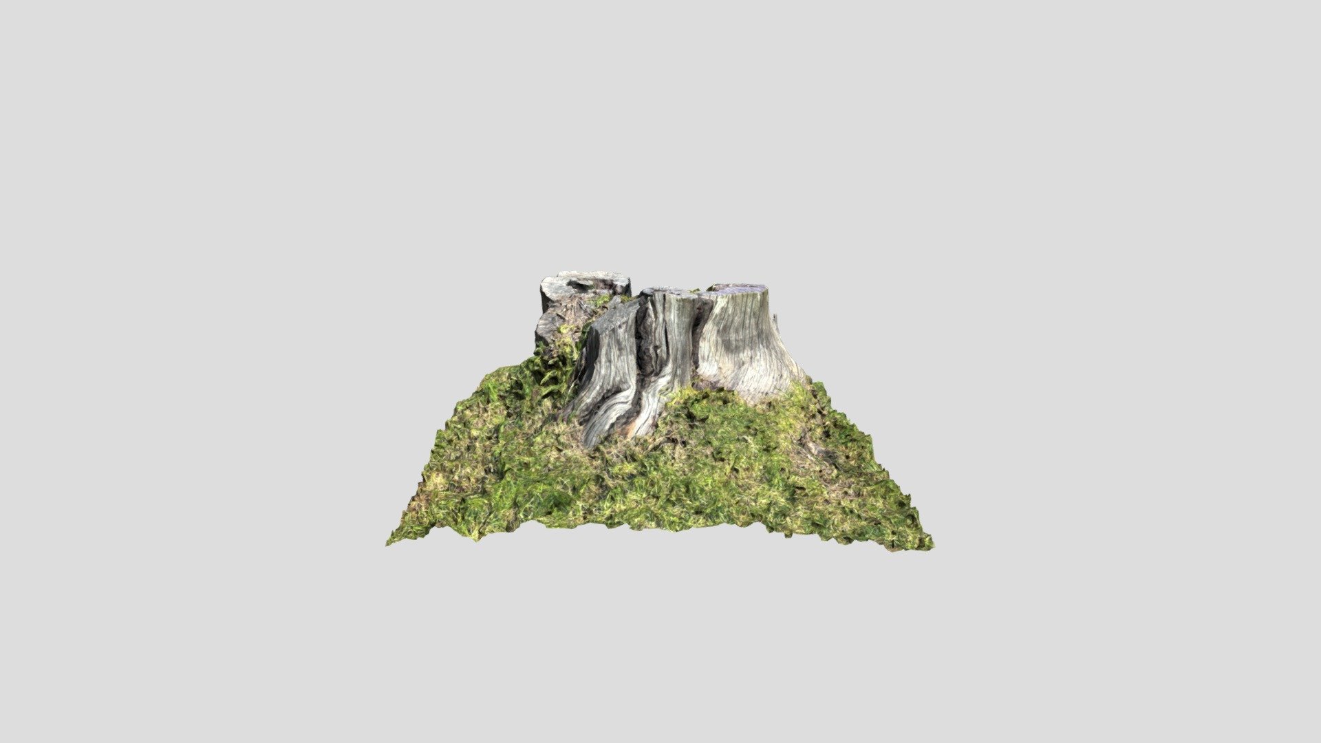 Tree Stump 3D Scan - Download Free 3D model by KianA23 [8f2e253 ...
