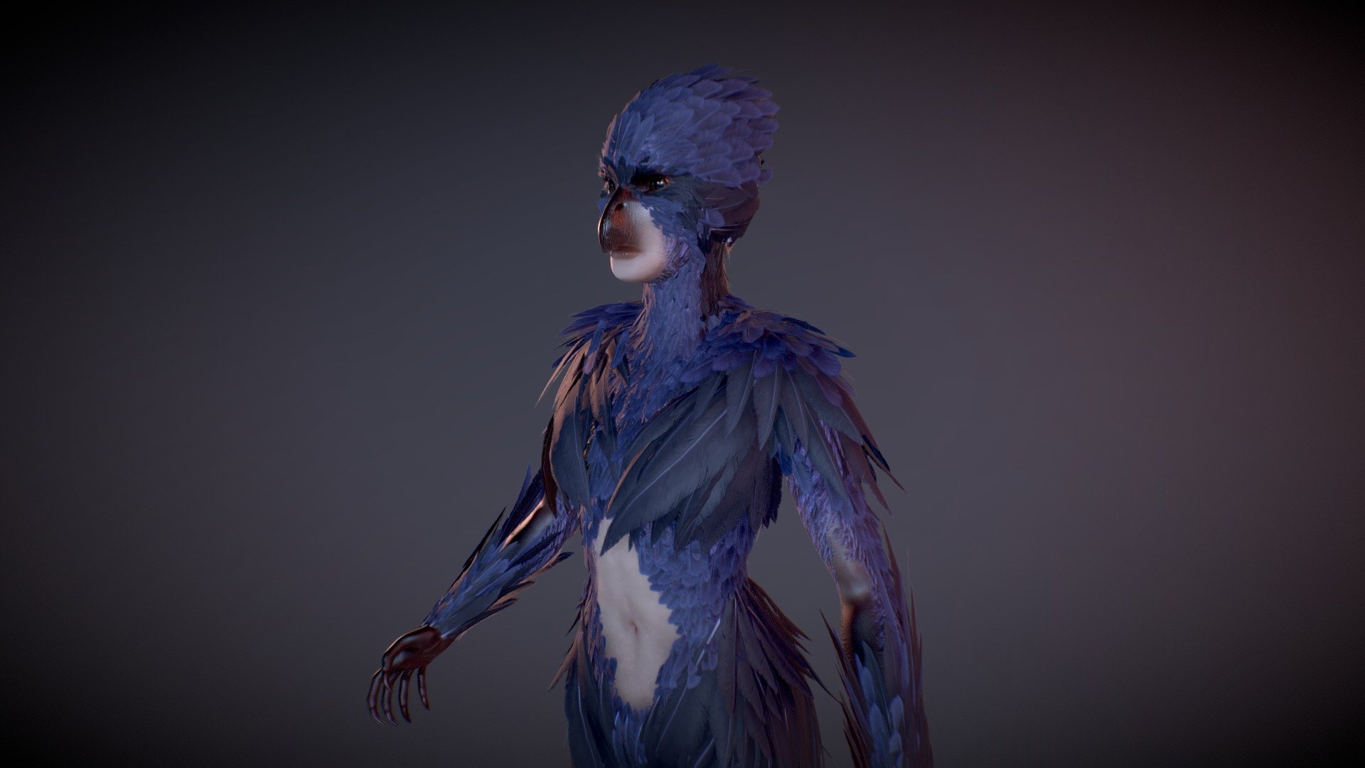 Bird lady - 3D model by Durand.Delphine (@D_Durand) [8f30e7b] - Sketchfab