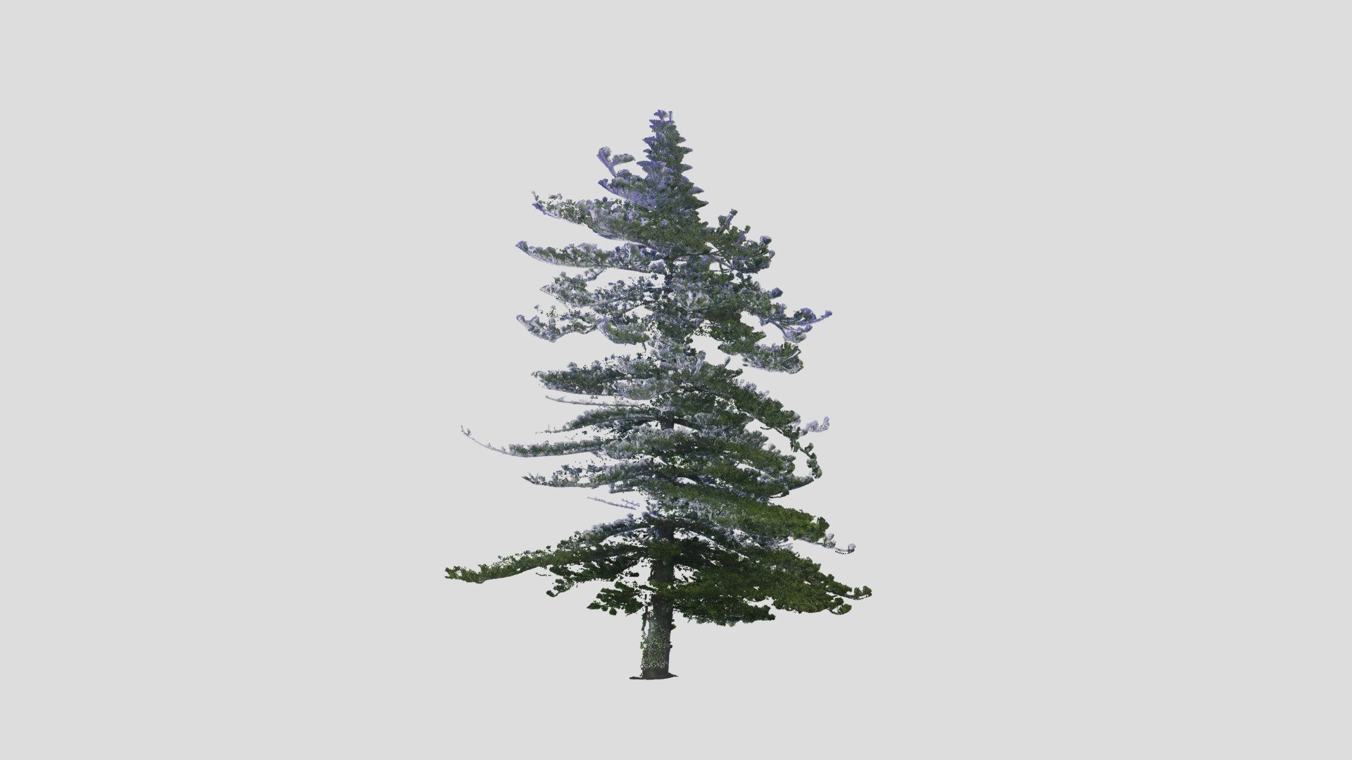 Tree Point Cloud - Buy Royalty Free 3D model by magnum_opus (@tree ...