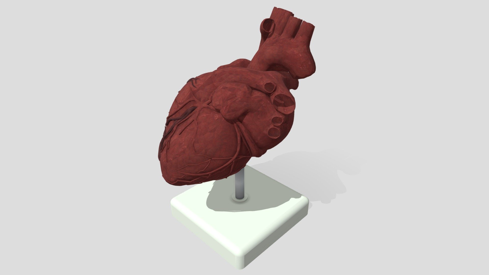 Heart model 02 - Buy Royalty Free 3D model by digikstudio [8f364af ...