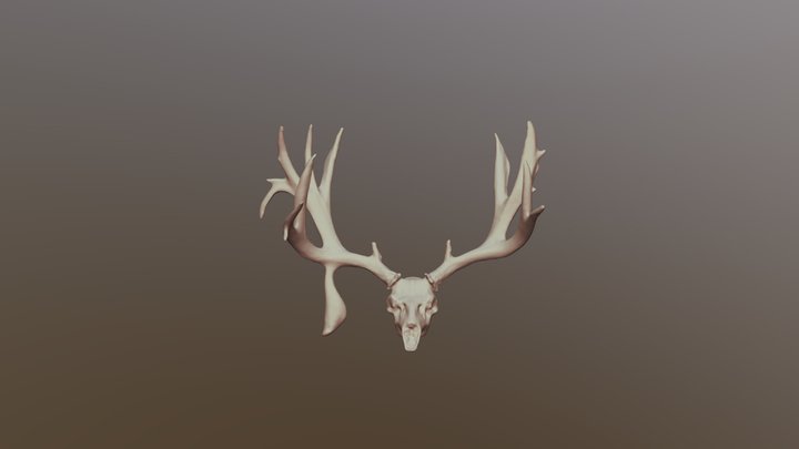 Antlers 3D models - Sketchfab