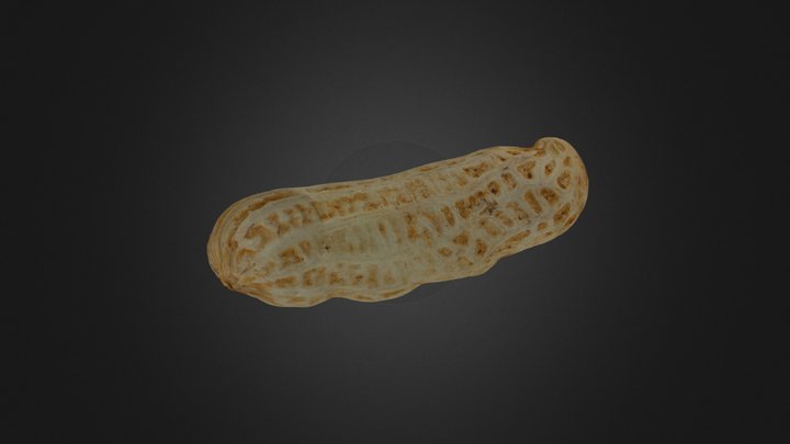 Peanut 3D models - Sketchfab