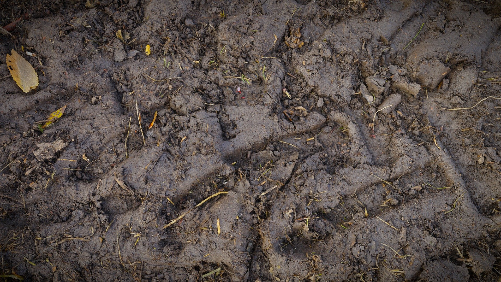 Ground surface - Download Free 3D model by Epic_Tree_Store ...