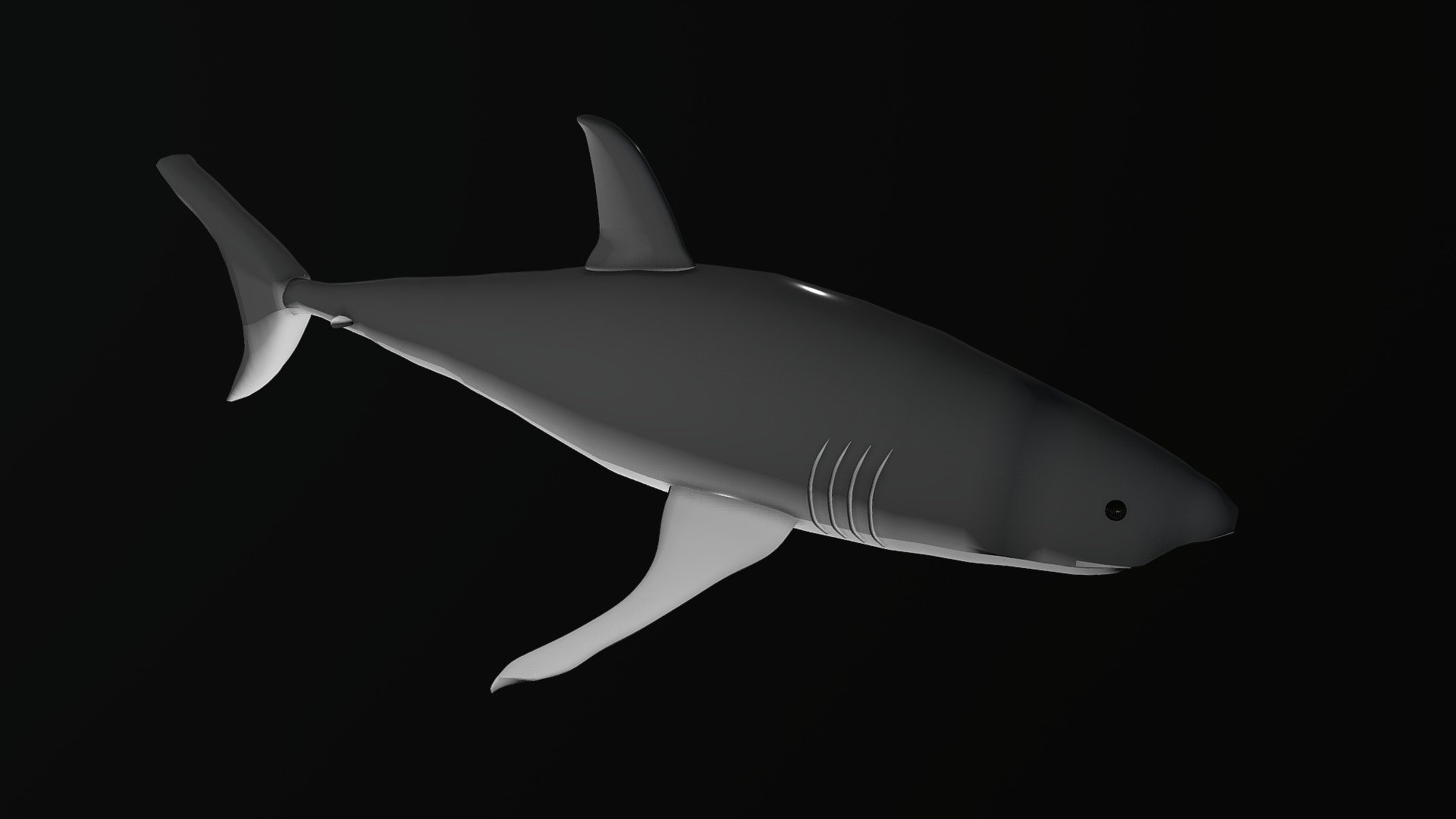 Shark - Download Free 3D model by Saad Haider (@darkrai1010) [8f4a2db ...