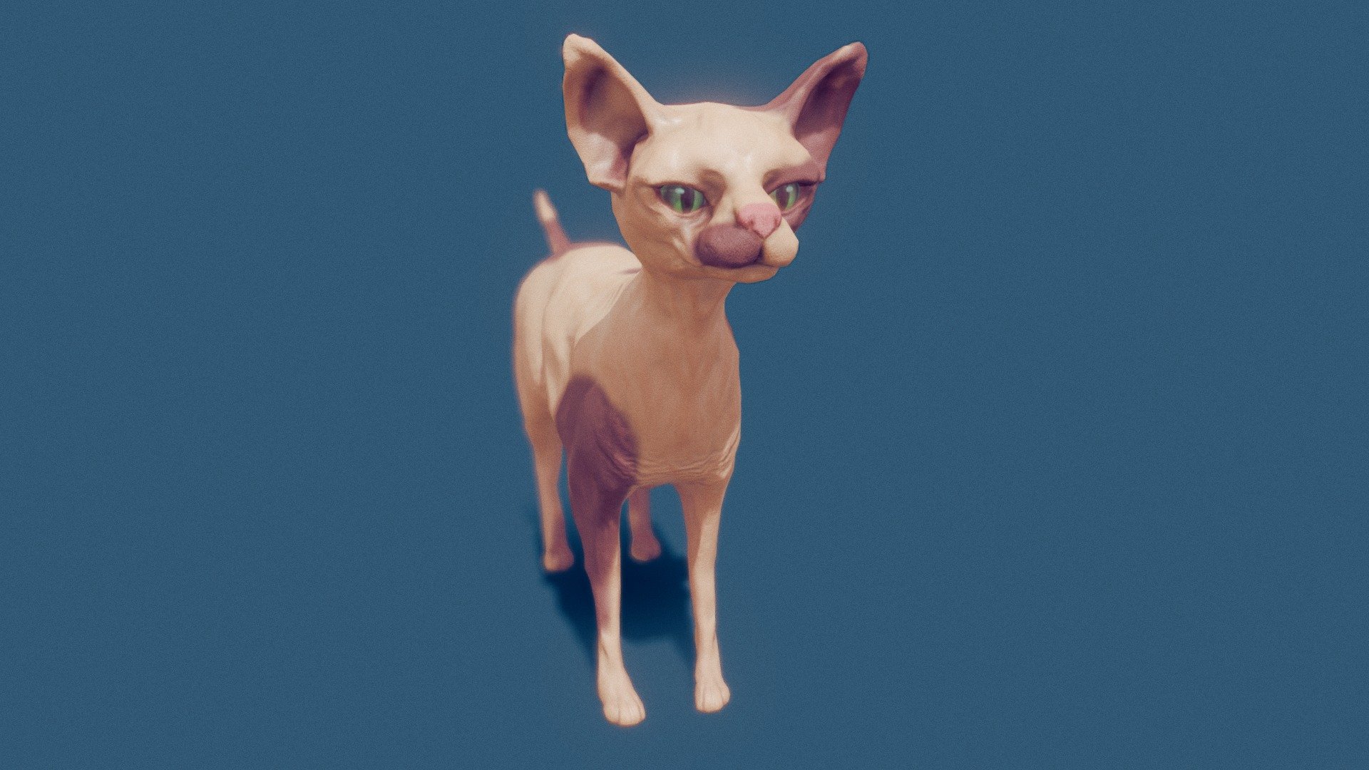 Sphynx Cat hunt animation - 3D model by g0rra [8f4cf9c] - Sketchfab