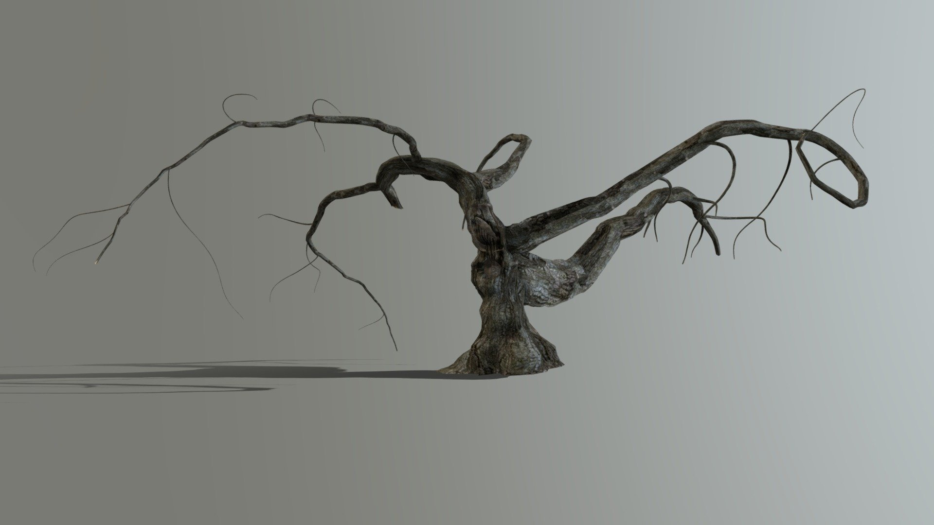 Ghotic tree - speedtree - 1 - High Poly - Download Free 3D model by ...