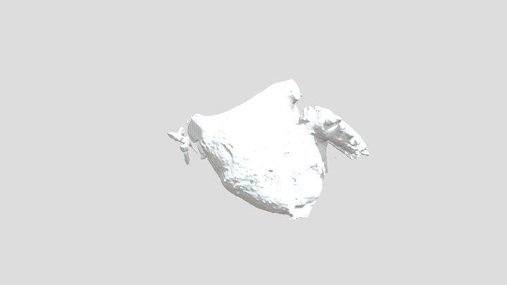 Left_atrium 3D models - Sketchfab