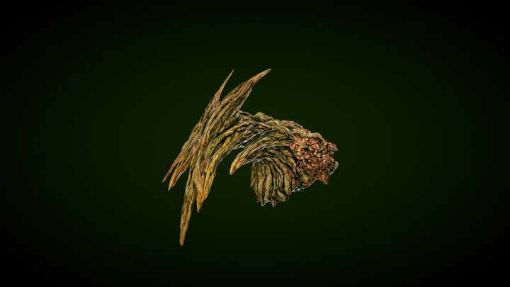 Roots 3D models - Sketchfab