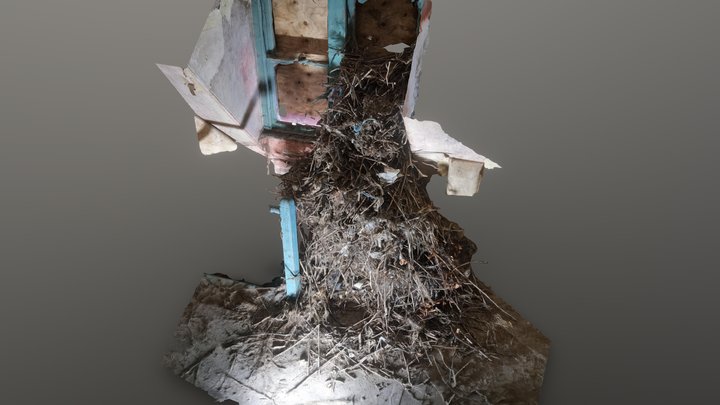Bracken 3D models - Sketchfab