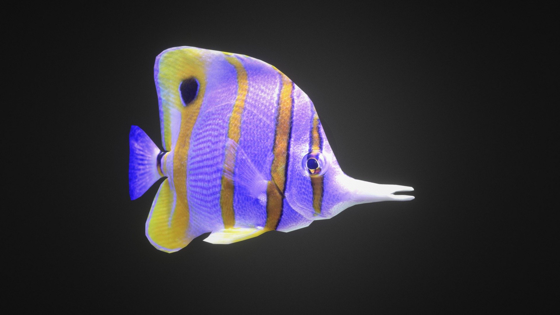 Small fish - Download Free 3D model by The SpezX (@SpezX) [8f5de32 ...