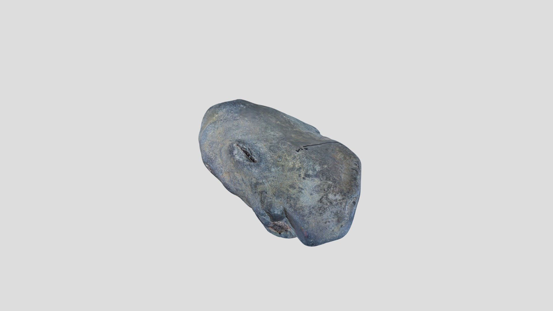 Cetacean? Tooth Block - quick scan for reference - Download Free 3D ...