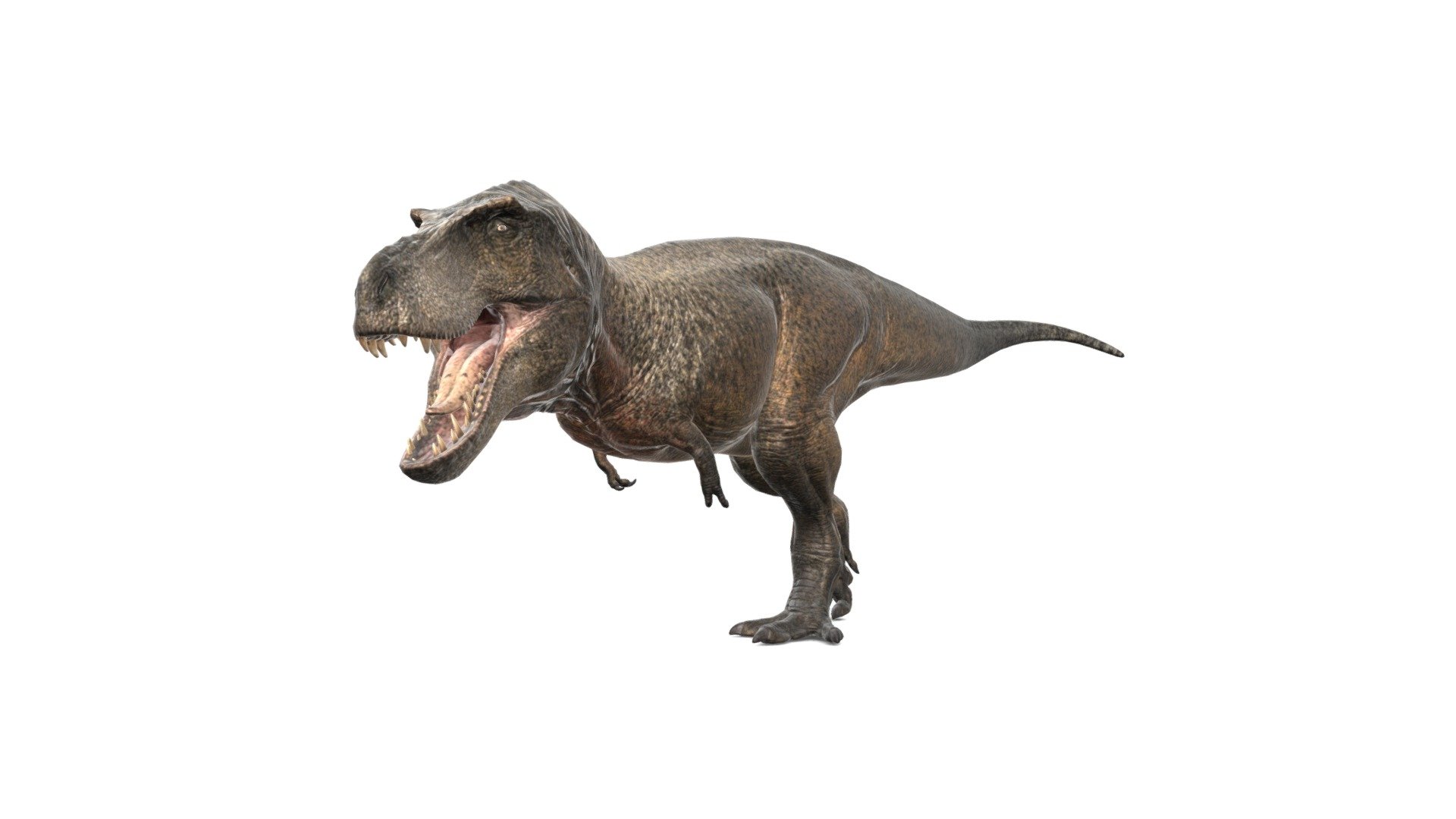 Tyrannosaurus Rex The Isle Accurate - Download Free 3D model by Nobilis the Palaeovespa ...
