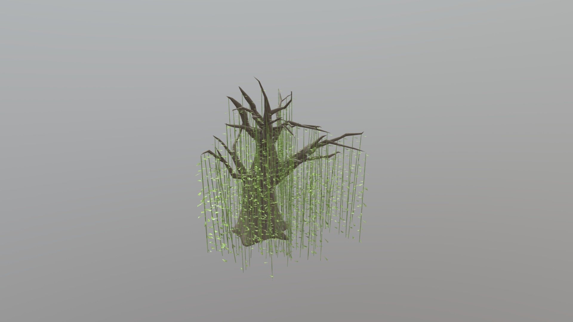 Willow Tree - 3D model by ingolse [8f7176a] - Sketchfab