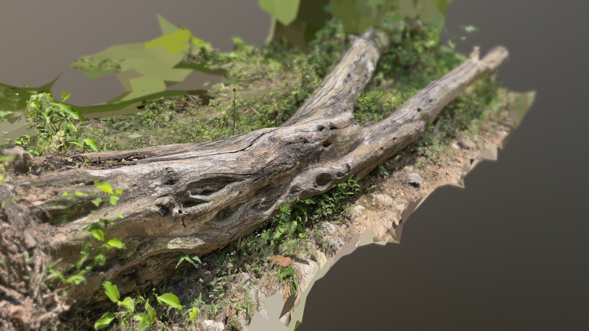 Fallen tree trunk (Lots of cleaup needed) - Download Free 3D model by ...