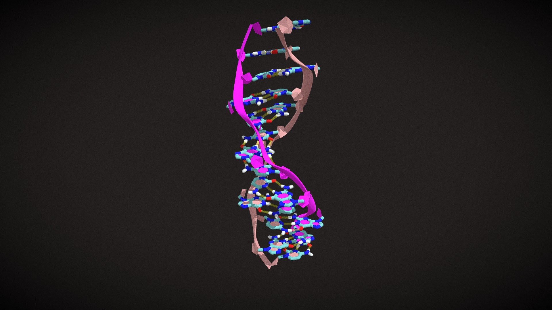 Z-DNA ribbon (backbone) + sticks (bases) - Download Free 3D model by ...