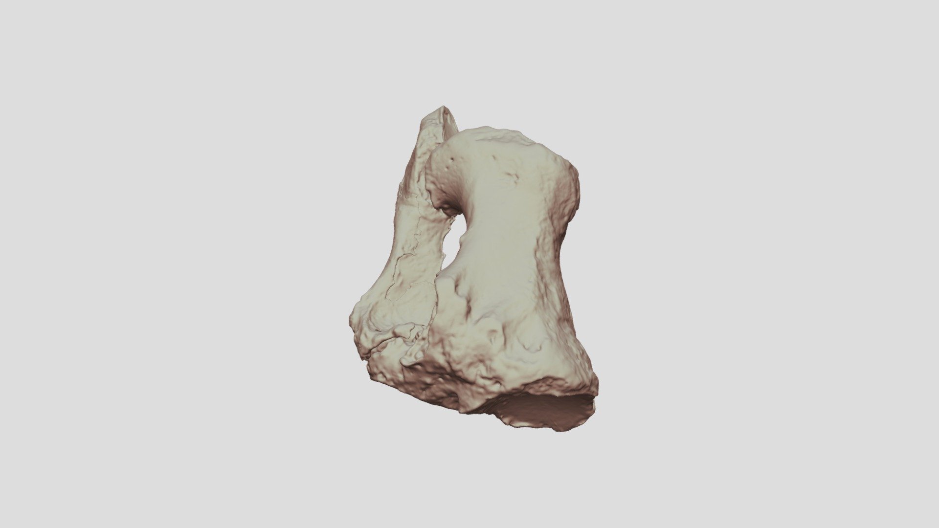 Chamorro Perezoso - 3D model by MUCDI UNAM (@MUCDIUNAM) [8f8824e ...