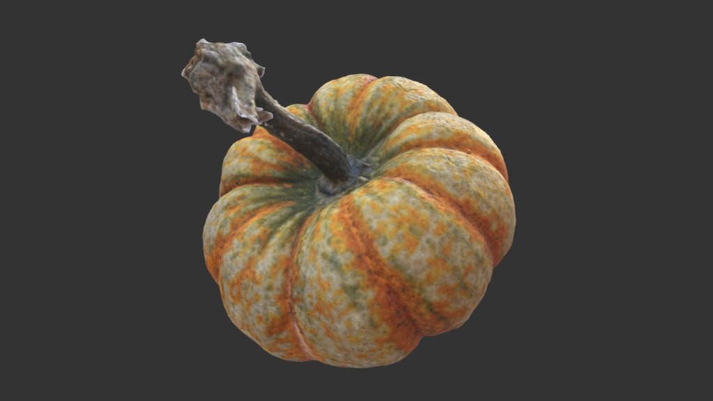 Cucurbita pepo Sweet lightning F1 - 3D model by BernardG49 [8f9365f ...