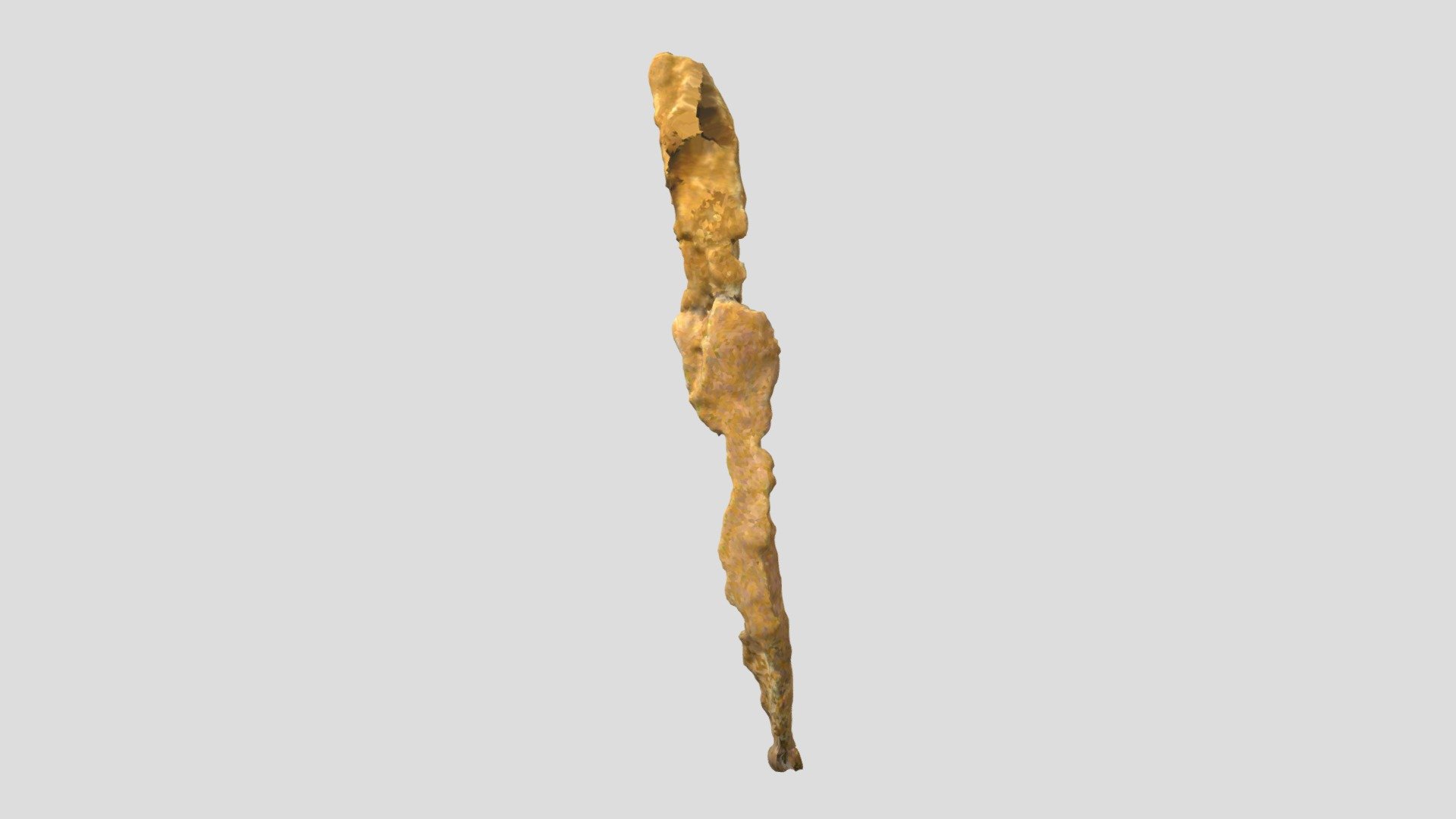 Window Came (VCU_3D_2328) - Download Free 3D model by Virtual Curation ...