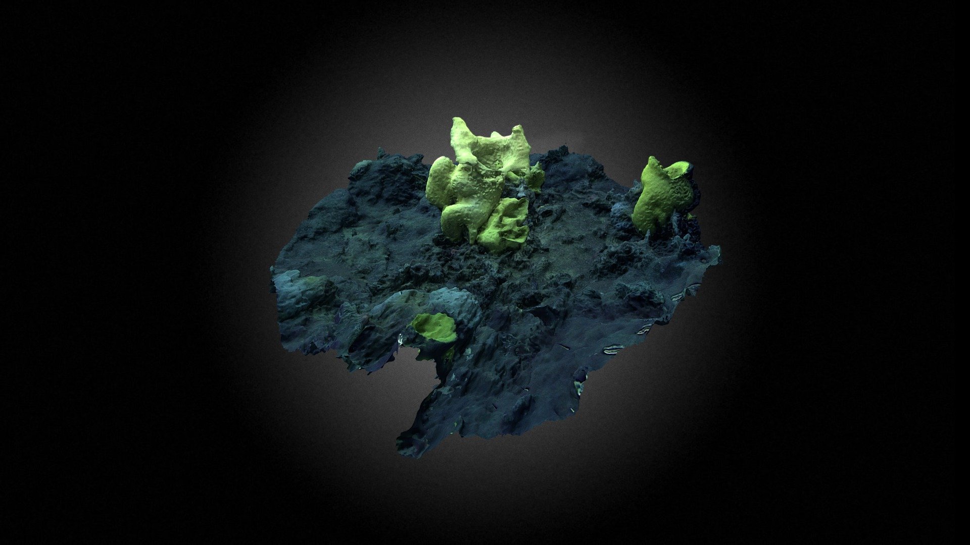Sponge at Davidson Seamount - Download Free 3D model by MBARI [8fa2dc2 ...