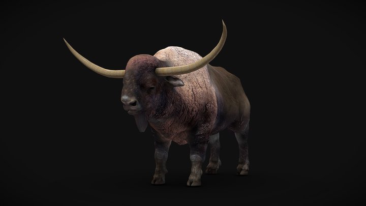 Ice-age 3D models - Sketchfab