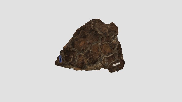 Sedimentary-structures 3D models - Sketchfab