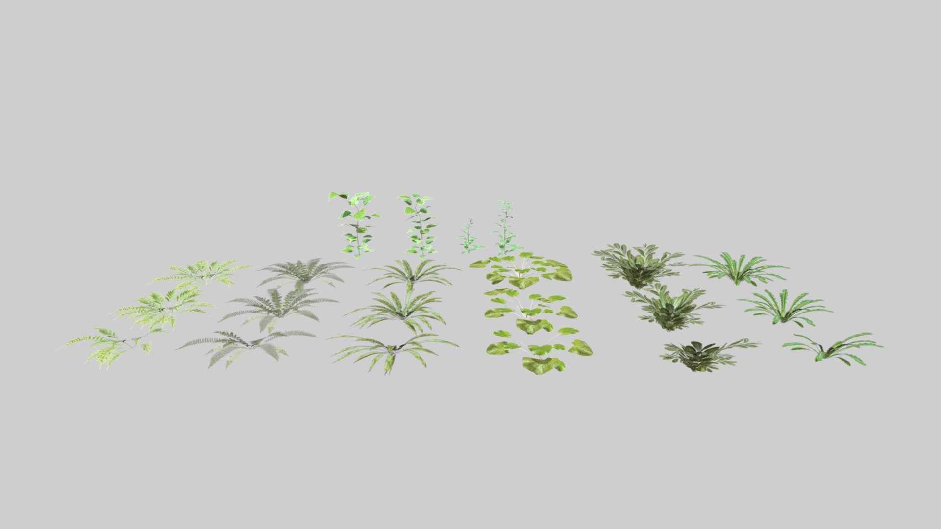 Low vegetation - Download Free 3D model by Mariia Melnik (@MariiaMelnik ...
