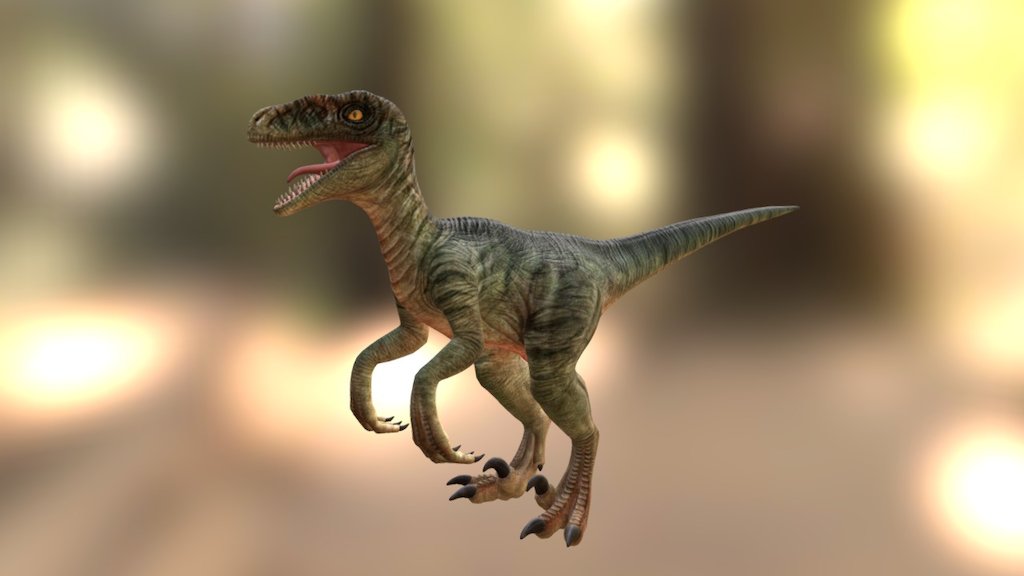 Raptor - 3D model by shirio41 [8faae4c] - Sketchfab