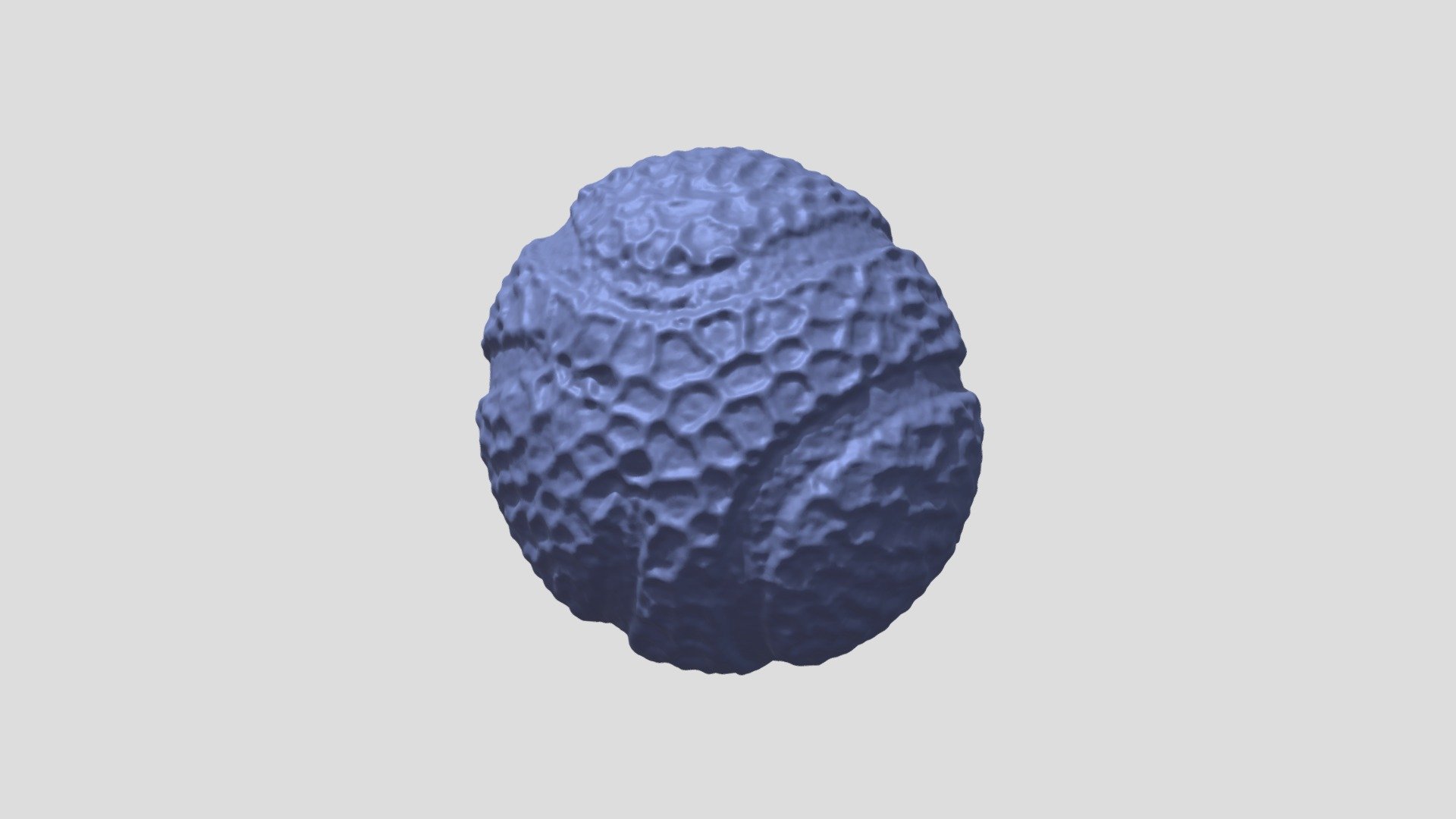 Passion flower (Passiflora caerulea) pollen - 3D model by Cardiff ...