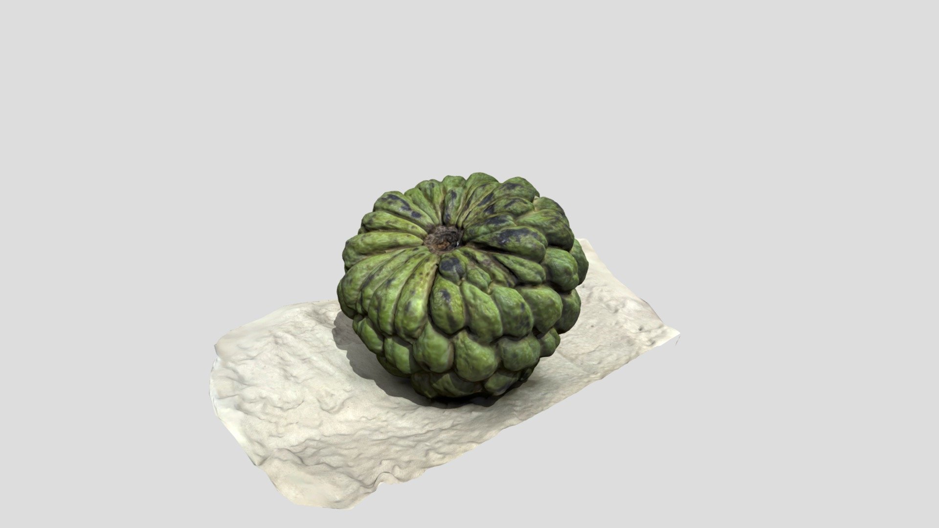 Custard apple - 3D model by sunilkrupakar [8fbfd3d] - Sketchfab