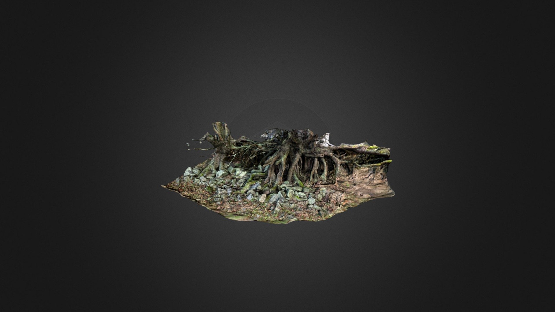 Root - Download Free 3D model by ex0l0n [8fc5ba5] - Sketchfab