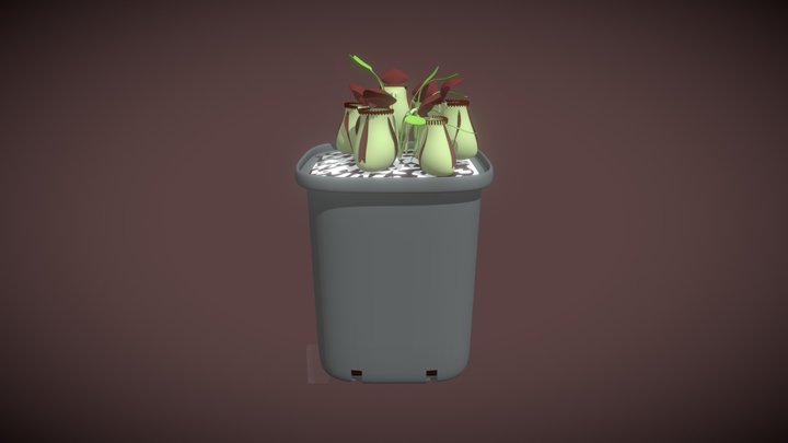Pitcher-plant 3D models - Sketchfab