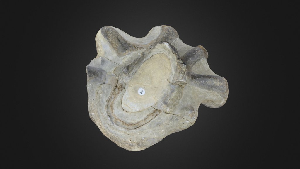 CC0 - A 3D model collection by Thomas Flynn (@nebulousflynn) - Sketchfab