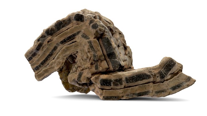 CSULB Geology (@richard.behl) - Sketchfab