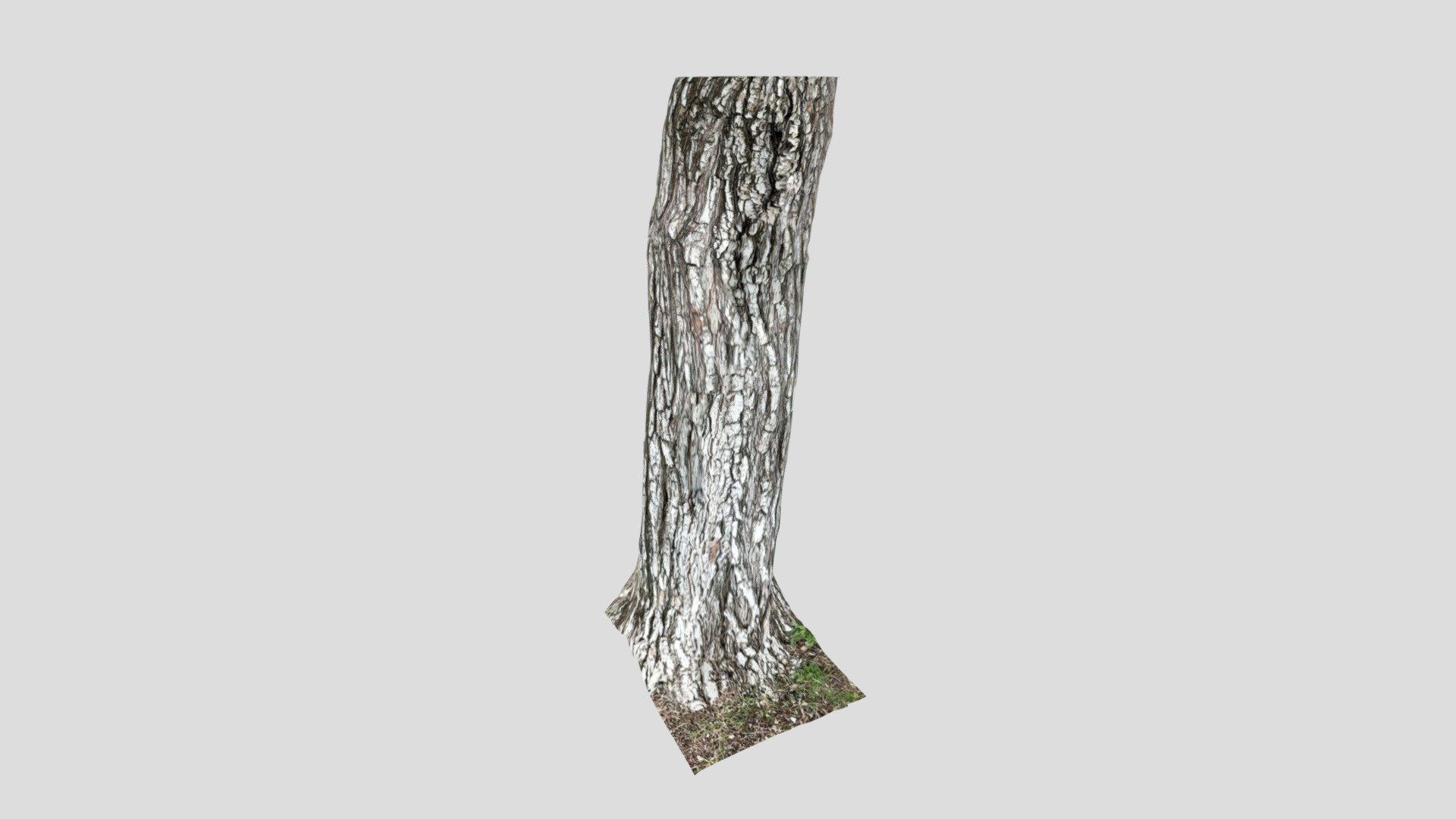 Random Tree - Download Free 3D model by kevinmgill [8feb619] - Sketchfab