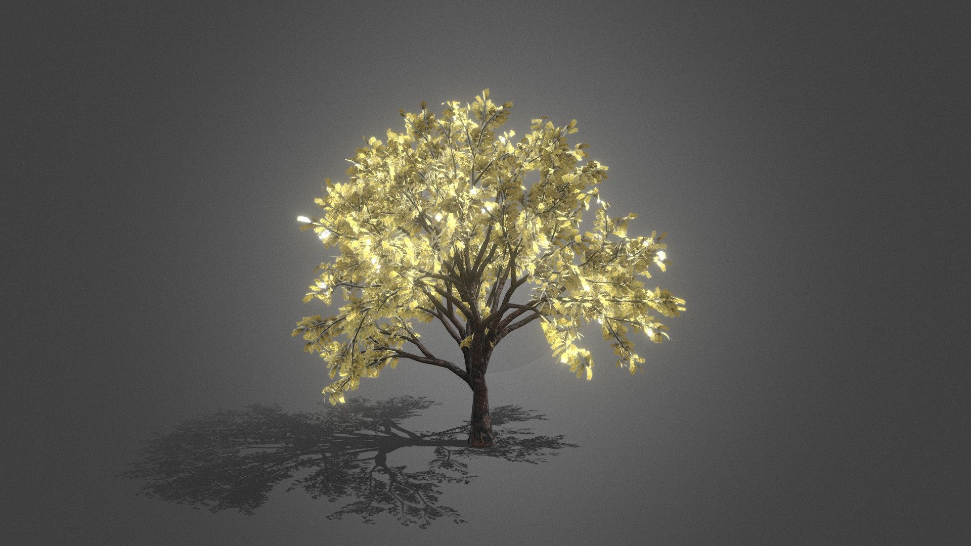 Autumn Tree - 3D model by axeltljohnson [8fecb79] - Sketchfab