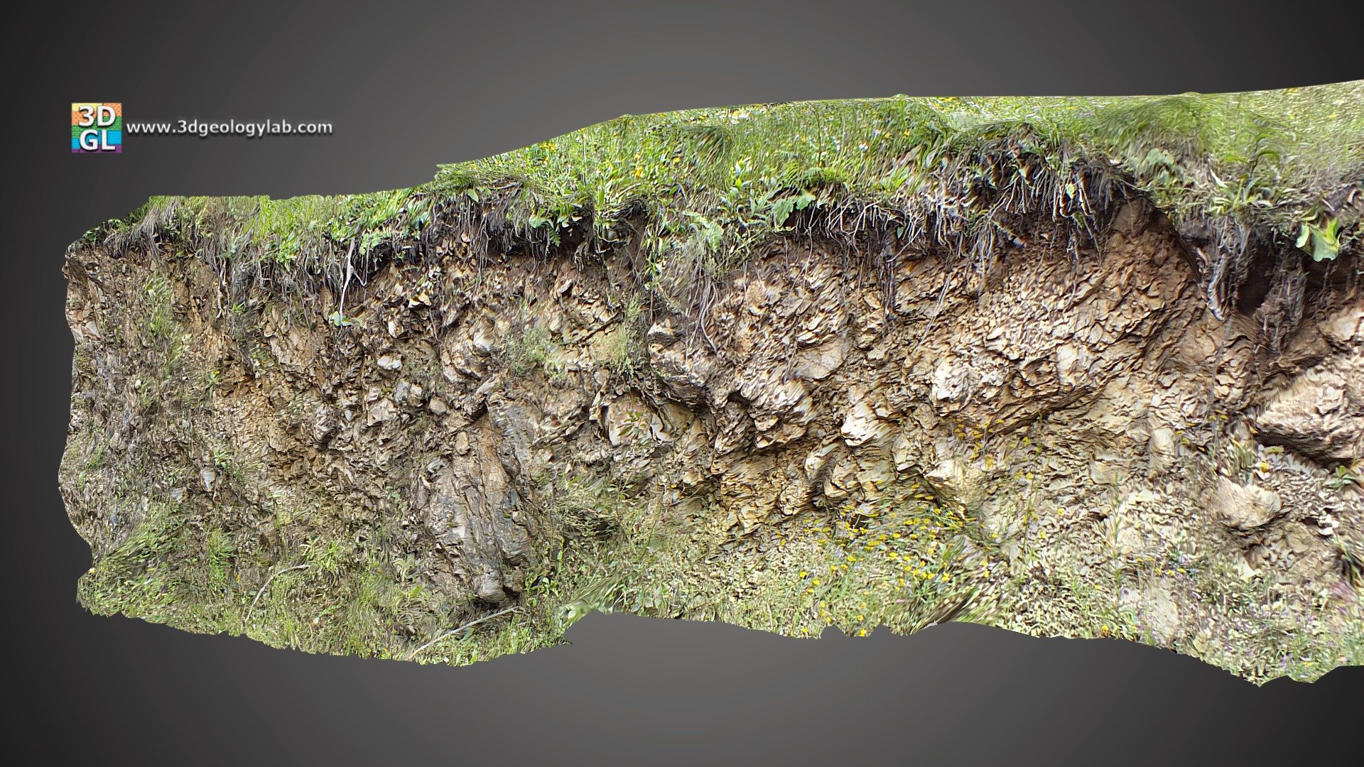 Outcrop - H137 - 3D model by 3D Geology Laboratory (@3DGeologyLab ...