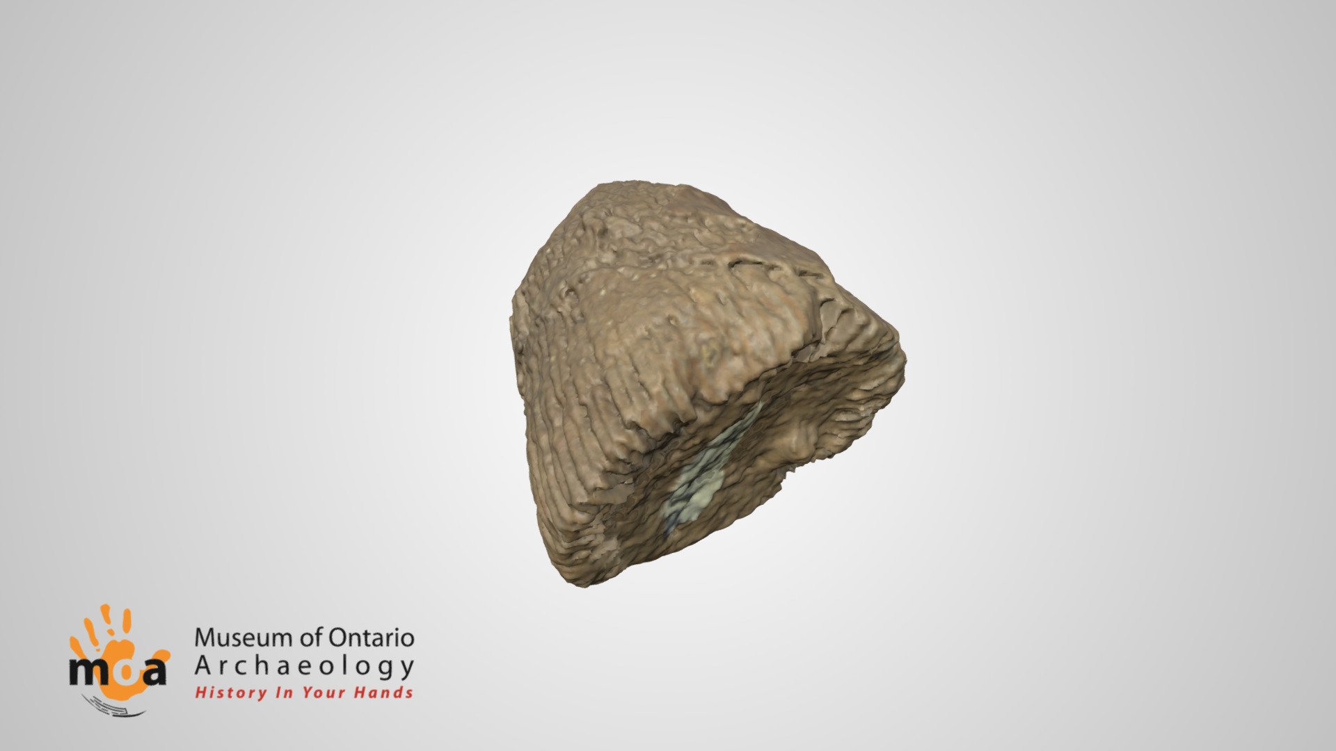 Fossil J471a - 3D model by MuseOntArch [900d62a] - Sketchfab