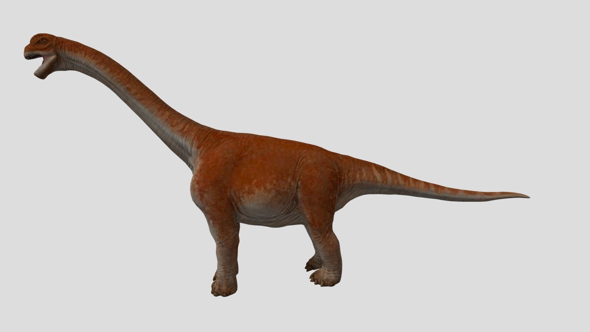 Camarasaurus [rigged] - Download Free 3D model by dinoguy263allo ...