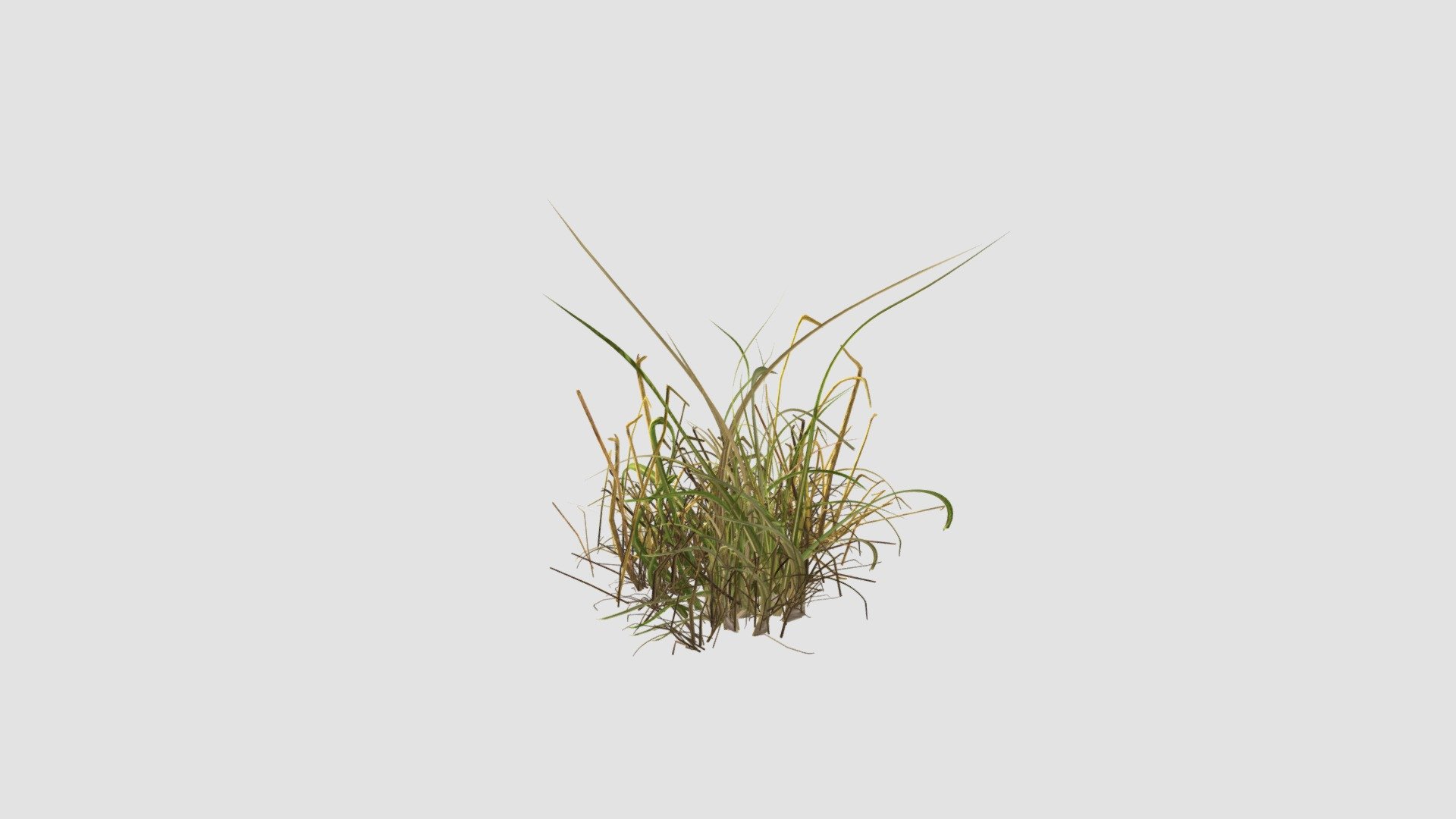 simple grass - Buy Royalty Free 3D model by Evermotion [9015f9e ...