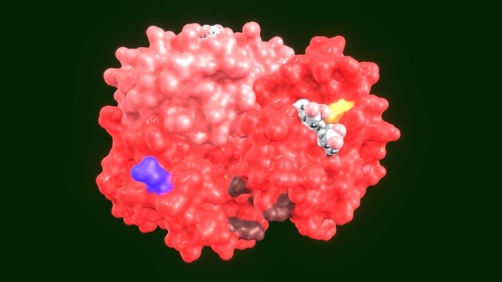 Proteins - A 3D model collection by axonology - Sketchfab